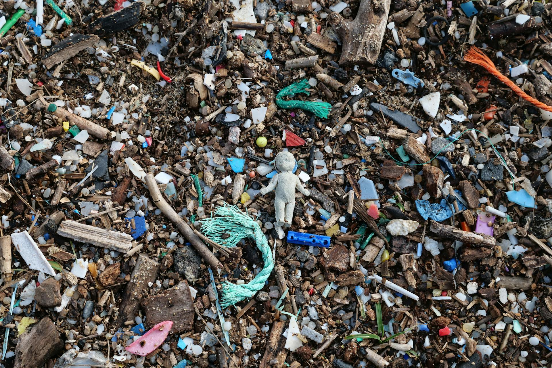 Best Plastic-Free Clothing Brands for 2025